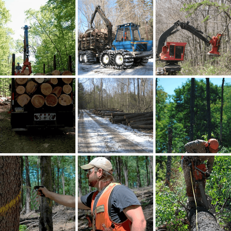Timber Harvesting Operations - Pennsylvania SFI®