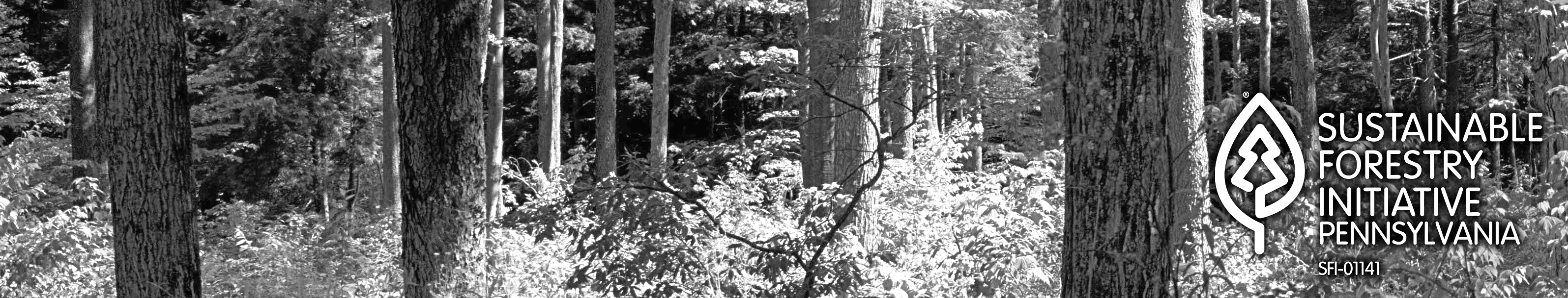 Principles of Sustainable Forestry - Pennsylvania SFI®